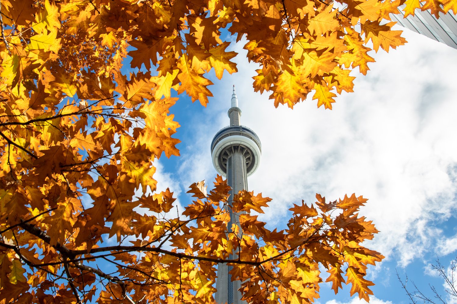 Meet ComplyAdvantage at ACAMS Canada 2025
